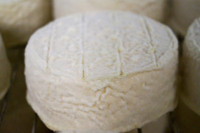 Chèvre du Poitou - L'ÉPICURIUM